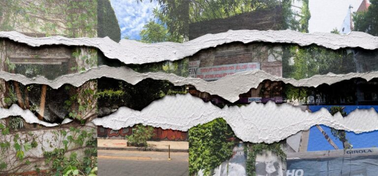 Proyecto Relieve | Periódico VAS